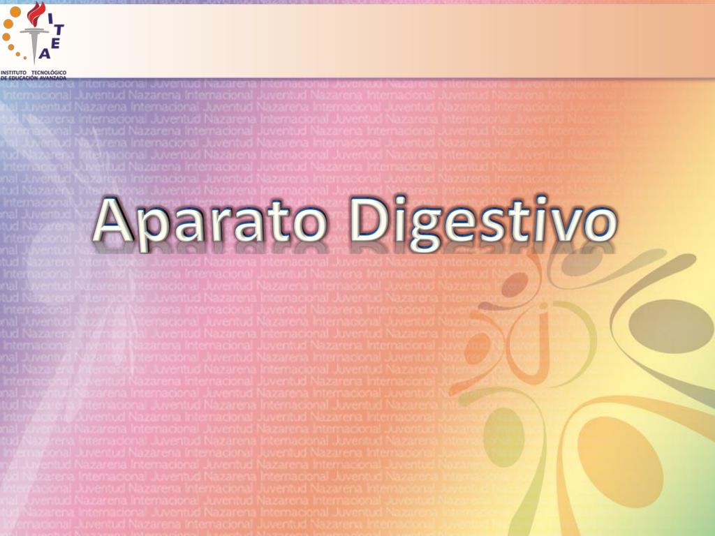 PPT - Aparato Digestivo PowerPoint Presentation, free download - ID:2268011