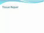 PPT - Histology: Connective Tissue PowerPoint Presentation, free ...