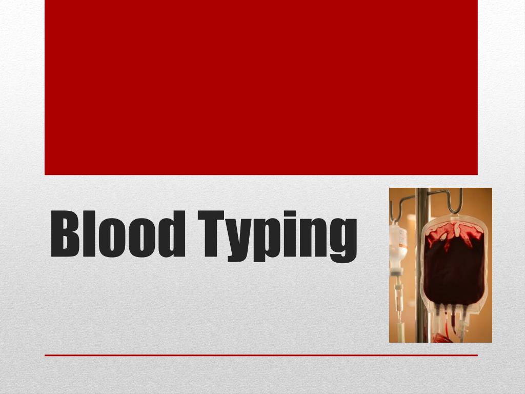 PPT - Blood Typing PowerPoint Presentation, free download - ID:2268865