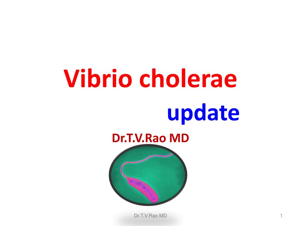 PPT - Vibrio cholerae update PowerPoint Presentation, free download ...