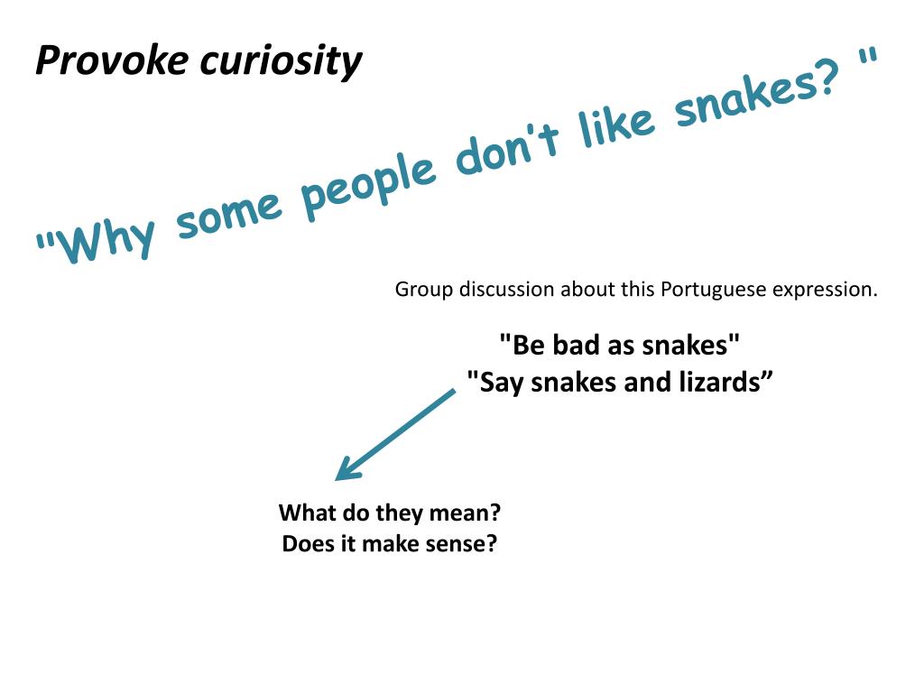 PPT - Provoke curiosity PowerPoint Presentation, free download - ID:2274021