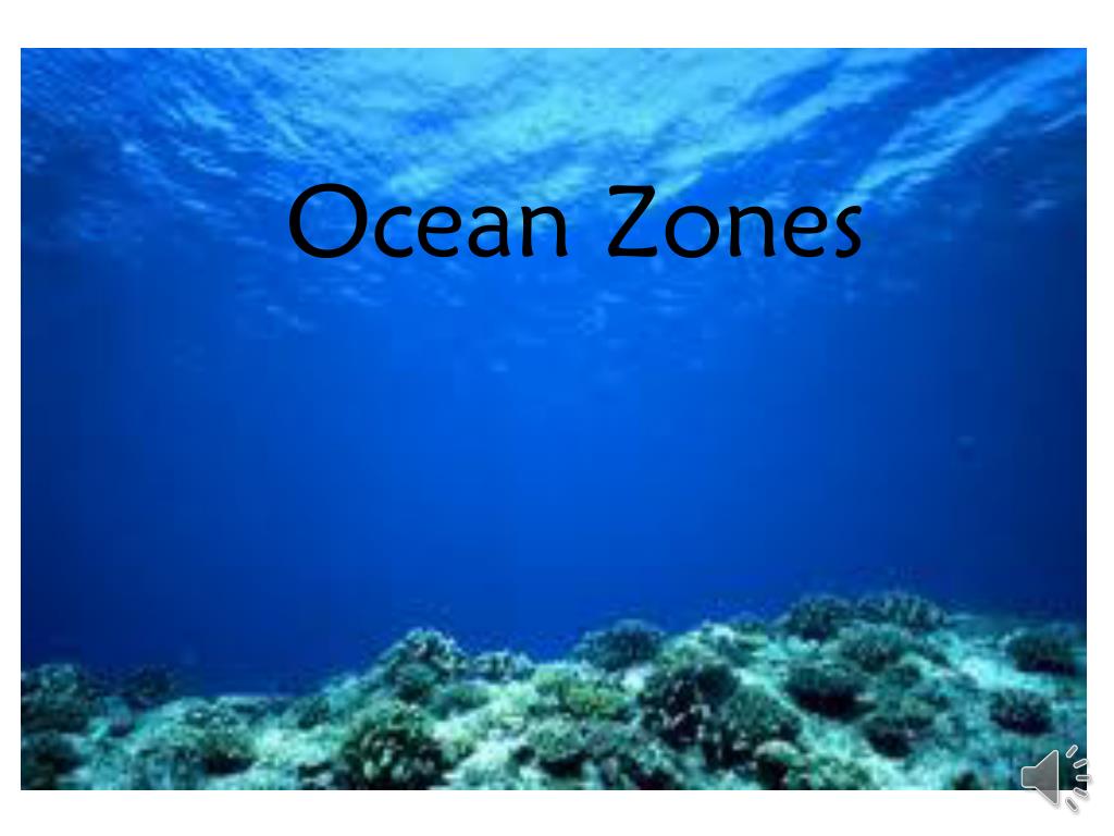 PPT - Ocean Zones PowerPoint Presentation, free download - ID:2274062