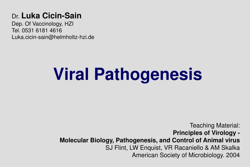 PPT - Viral Pathogenesis PowerPoint Presentation, free download - ID ...