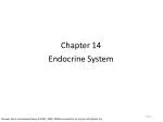 PPT - Chapter 14 Endocrine System Diseases and Disorders PowerPoint ...