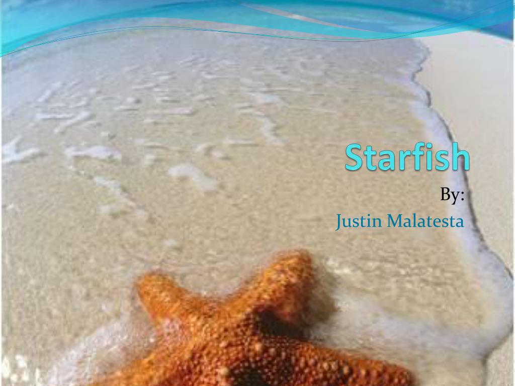 PPT - Starfish PowerPoint Presentation, free download - ID:2276930
