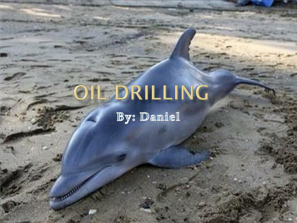 PPT - Oil Drilling PowerPoint Presentation, free download - ID:2278010