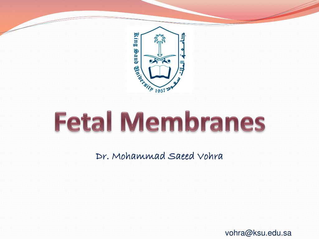 PPT - Fetal Membranes PowerPoint Presentation, free download - ID:2278156