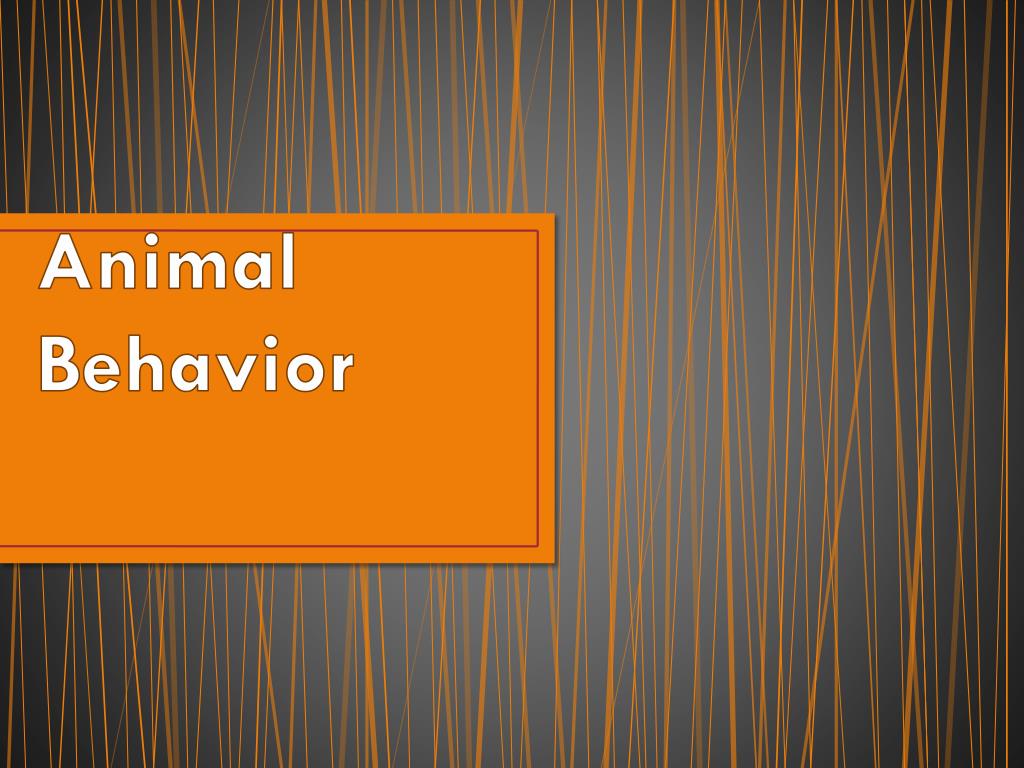 PPT - Animal Behavior PowerPoint Presentation, free download - ID:2278248