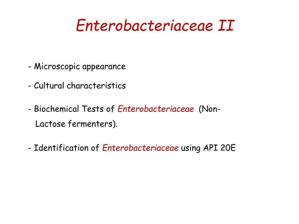 PPT - Enterobacteriaceae II PowerPoint Presentation, free download - ID ...