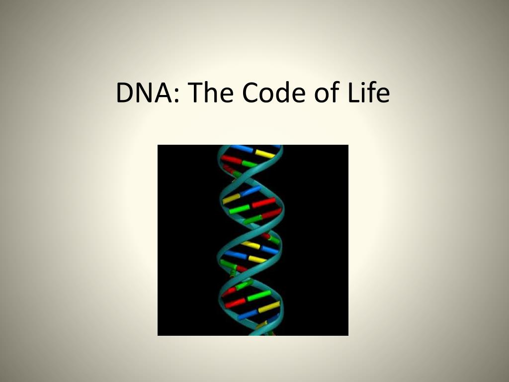 PPT - DNA: The Code of Life PowerPoint Presentation, free download - ID ...