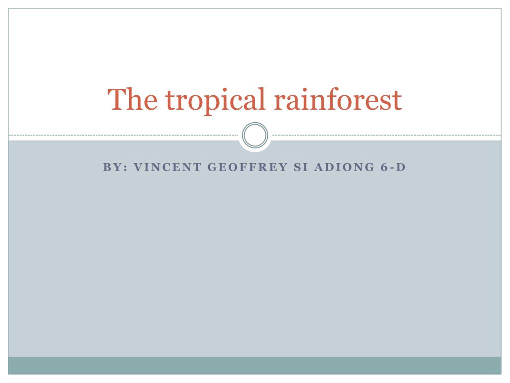 PPT - Exploring the Wonders of the Tropical Rainforest PowerPoint ...