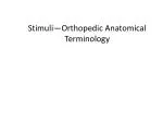 PPT - Anatomical Terminology PowerPoint Presentation, free download ...