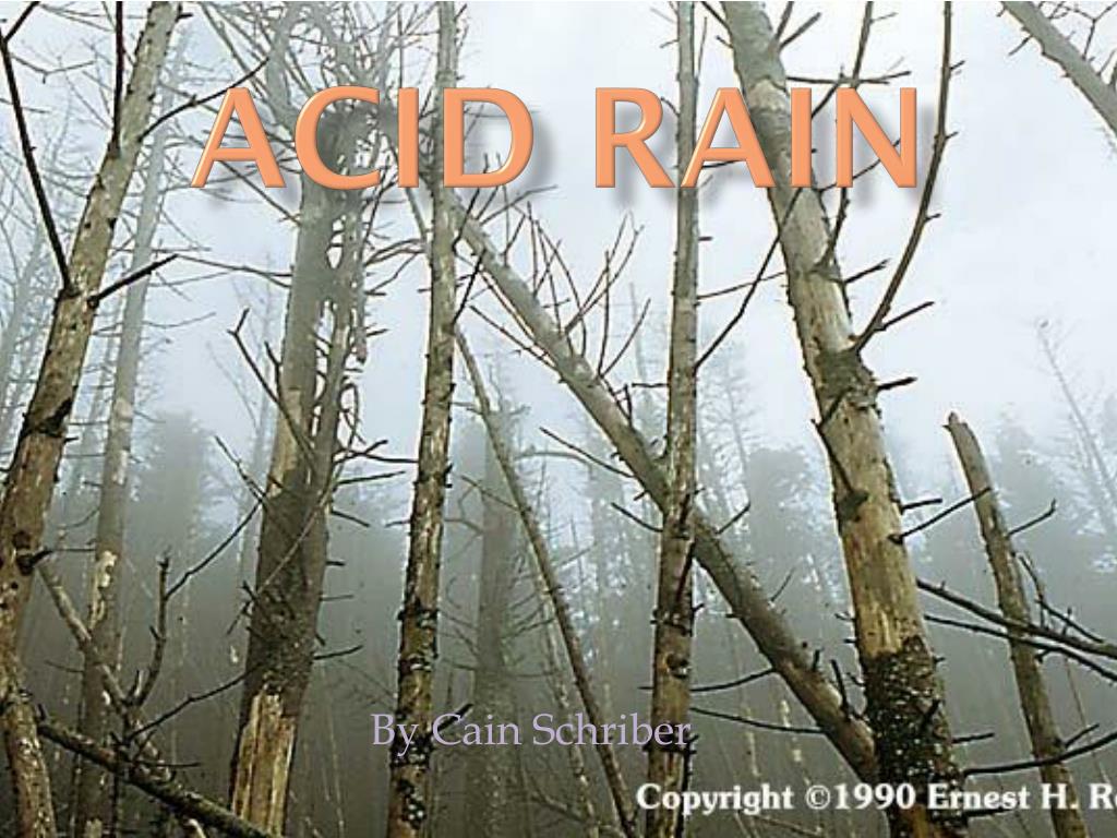 PPT - Acid Rain PowerPoint Presentation, free download - ID:2280755