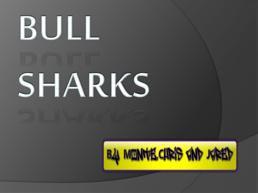 PPT - BULL SHARKS PowerPoint Presentation, free download - ID:2281495