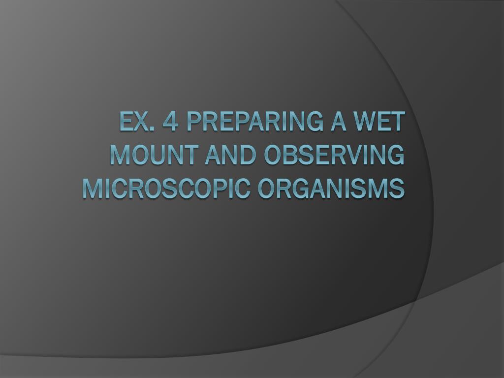 PPT - Ex. 4 Preparing a Wet Mount and Observing Microscopic Organisms ...