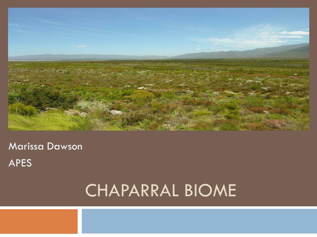PPT - Chaparral Biome PowerPoint Presentation, free download - ID:2282620