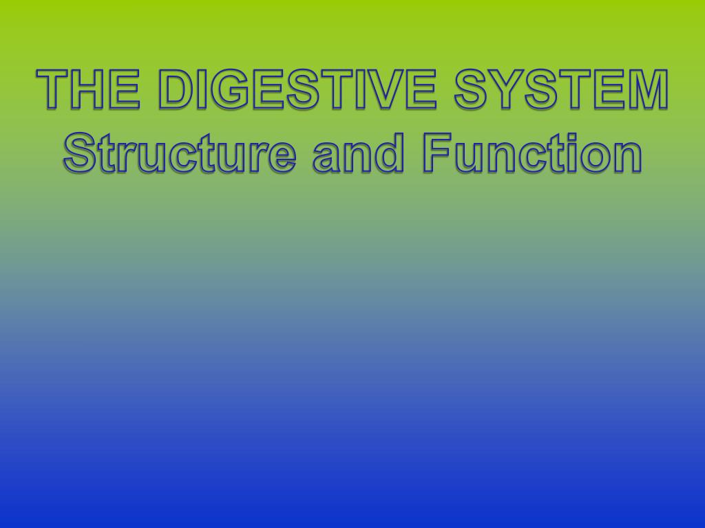 PPT - THE DIGESTIVE SYSTEM Structure and Function PowerPoint ...