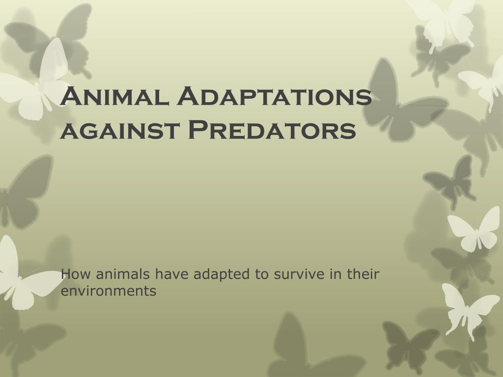 PPT - Animal Adaptations against Predators PowerPoint Presentation ...