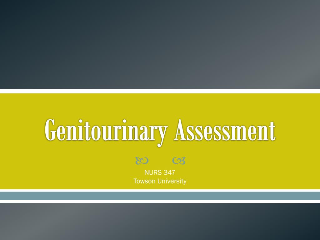 PPT - Genitourinary Assessment PowerPoint Presentation, free download ...