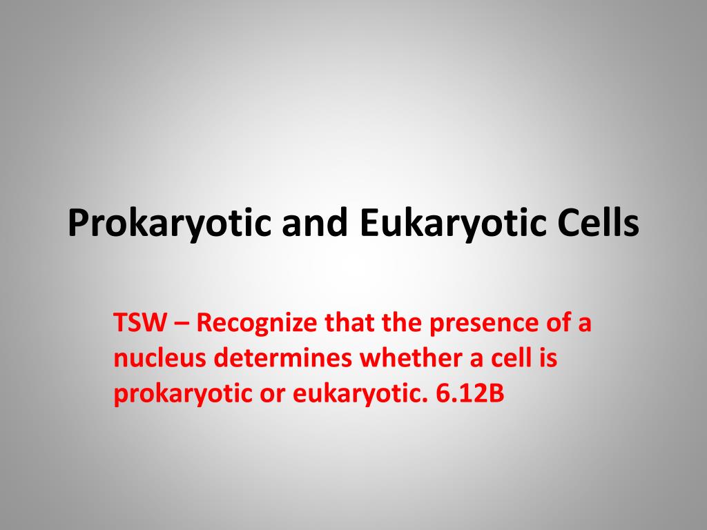 PPT - Prokaryotic and Eukaryotic Cells PowerPoint Presentation, free ...