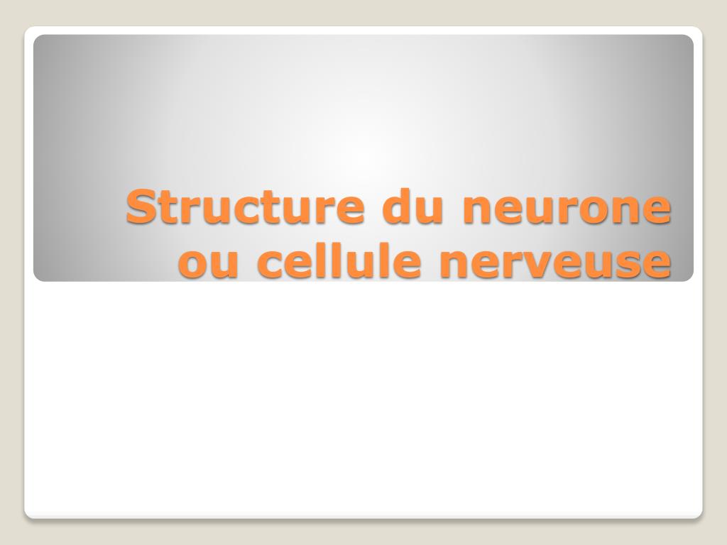 PPT - Structure du neurone ou cellule nerveuse PowerPoint Presentation ...
