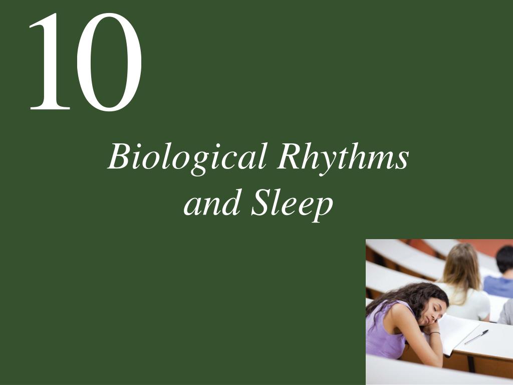 PPT - Biological Rhythms and Sleep PowerPoint Presentation, free ...