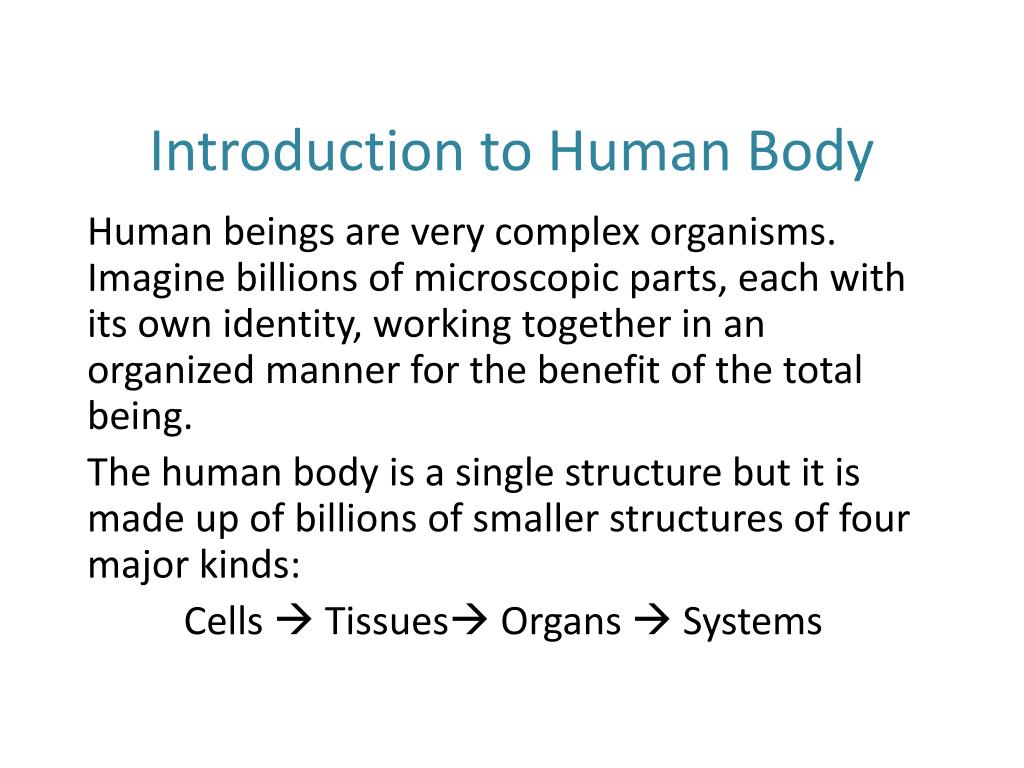 PPT - Introduction to Human Body PowerPoint Presentation, free download ...