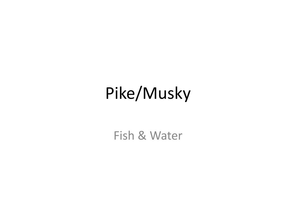 PPT - Pike/Musky PowerPoint Presentation, free download - ID:2288115