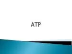 PPT - ATP PowerPoint Presentation, free download - ID:2991244
