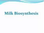 PPT - Chapter 5: protein Biosynthesis PowerPoint Presentation, free ...