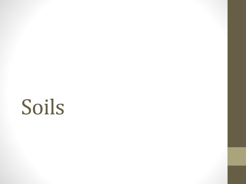PPT - Soils PowerPoint Presentation, free download - ID:2291658