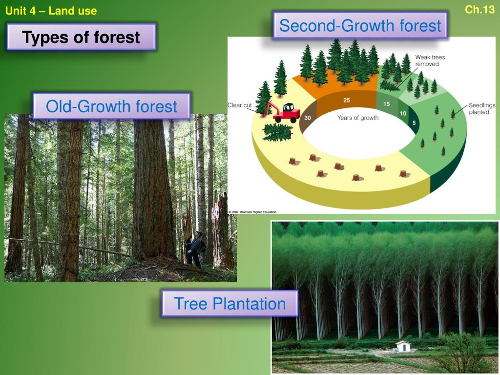 PPT - Unit 4 – Land use PowerPoint Presentation, free download - ID:2292013