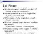 PPT - “Cellular RESPIRATION” PowerPoint Presentation, free download ...