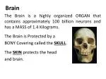 PPT - Brain Nutrition with Natural Nootropics PowerPoint Presentation ...