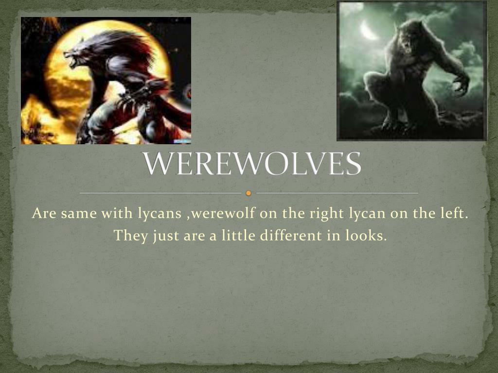 PPT - WEREWOLVES PowerPoint Presentation, free download - ID:2296785