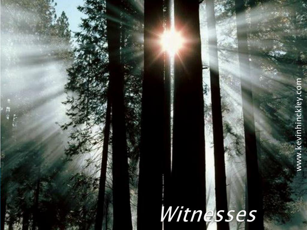 PPT - Witnesses PowerPoint Presentation, free download - ID:2297397
