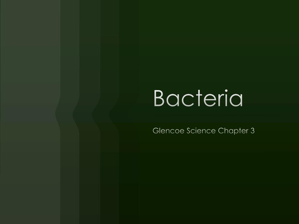 PPT - Bacteria PowerPoint Presentation, free download - ID:2299871