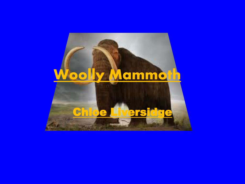 PPT - Woolly Mammoth PowerPoint Presentation, free download - ID:2303024