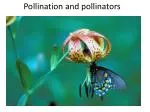 PPT - Pollination PowerPoint Presentation, free download - ID:9619694