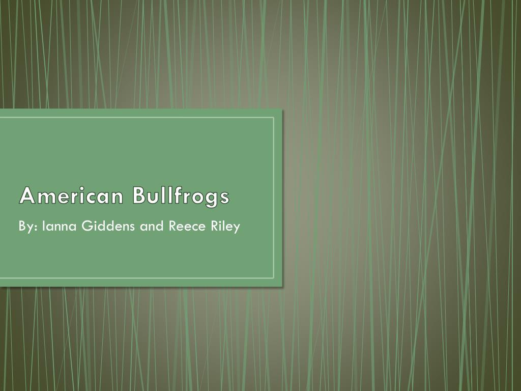 PPT - American Bullfrogs PowerPoint Presentation, free download - ID ...