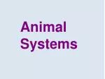 PPT - Animal Body Systems PowerPoint Presentation, free download - ID ...