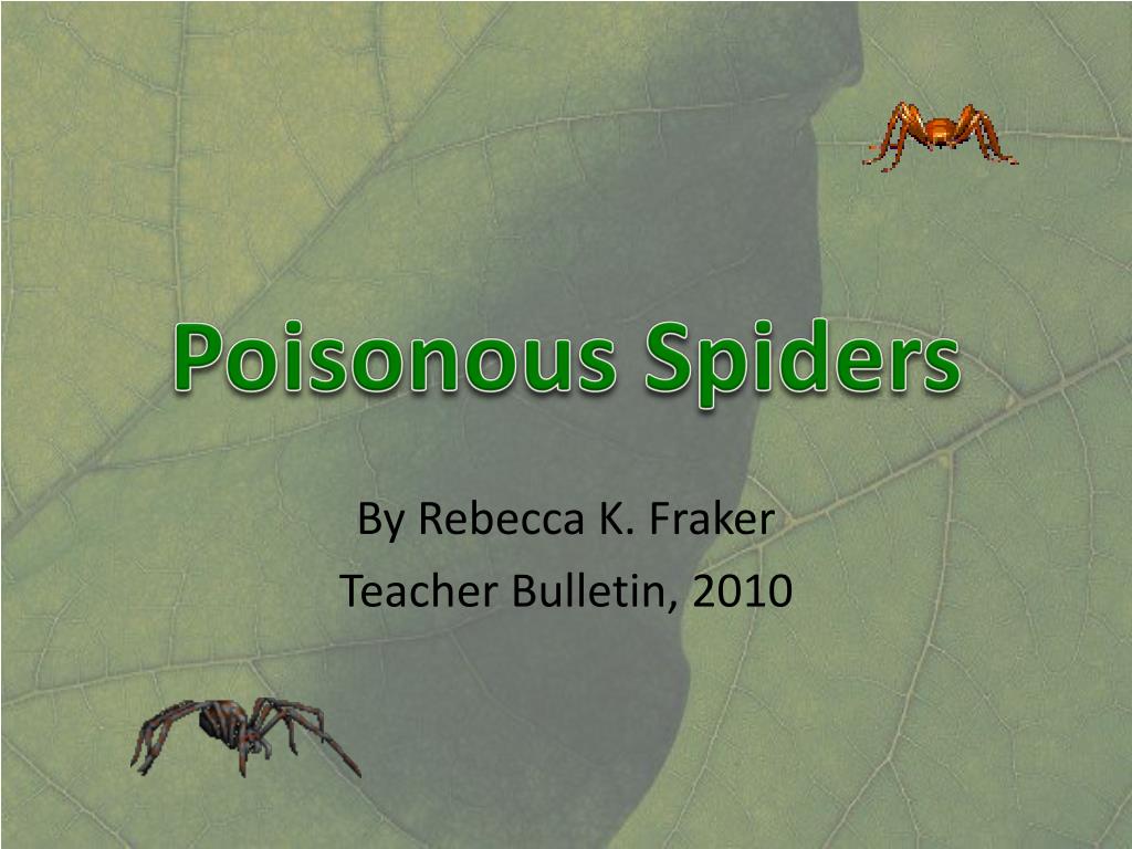 PPT - Poisonous Spiders PowerPoint Presentation, free download - ID:2308766