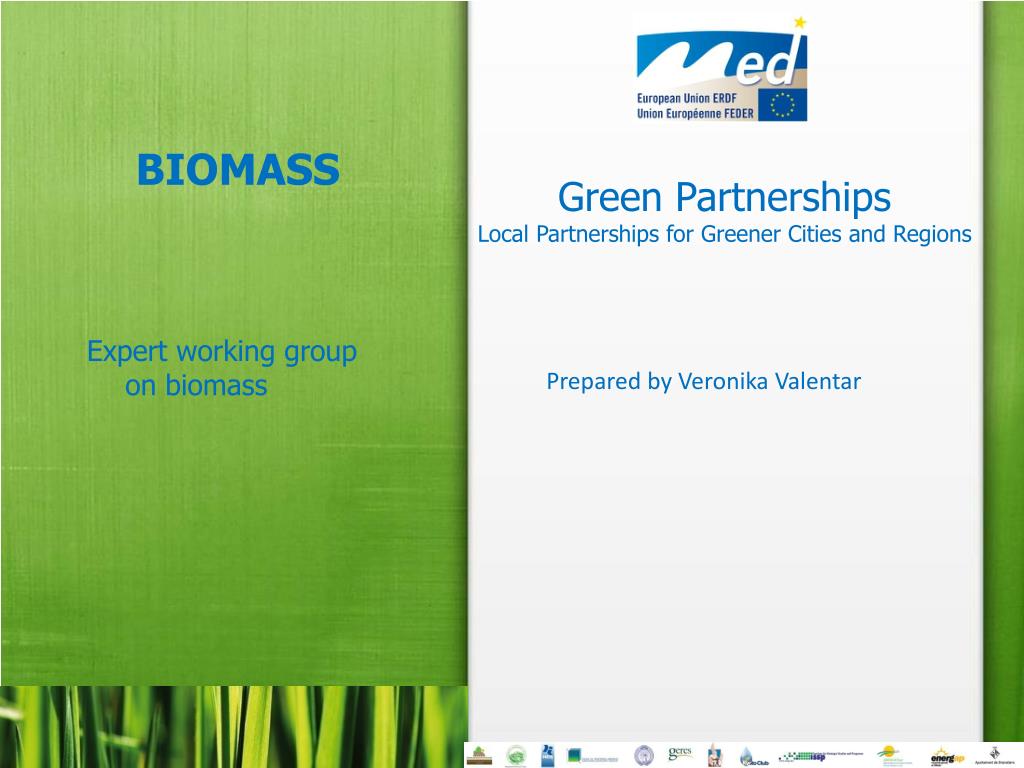 PPT - BIOMASS PowerPoint Presentation, free download - ID:2308805