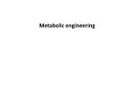 PPT - INTRODUCTION TO METABOLIC ENGINEERING Chapter 1 of textbook ...