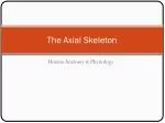 PPT - The Axial Age PowerPoint Presentation, free download - ID:742000