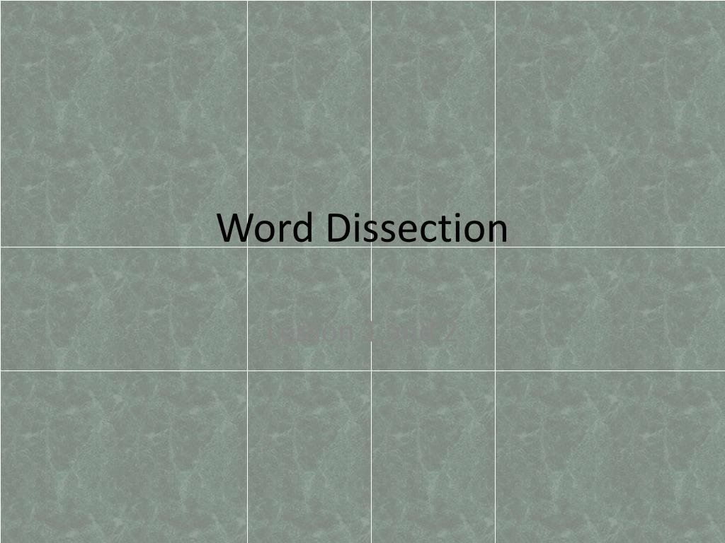 PPT - Word Dissection PowerPoint Presentation, free download - ID:2313440