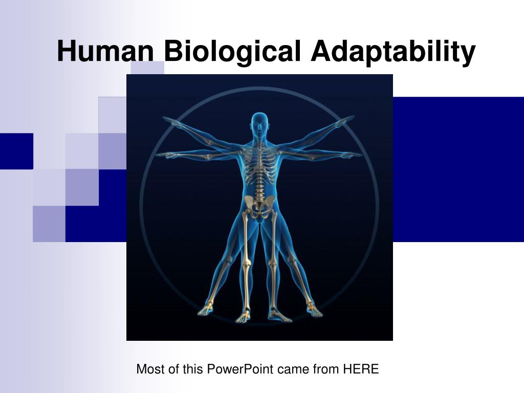 PPT - Human Biological Adaptability PowerPoint Presentation, free ...