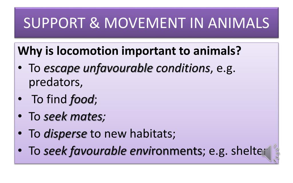 PPT - SUPPORT & MOVEMENT IN ANIMALS PowerPoint Presentation, free ...