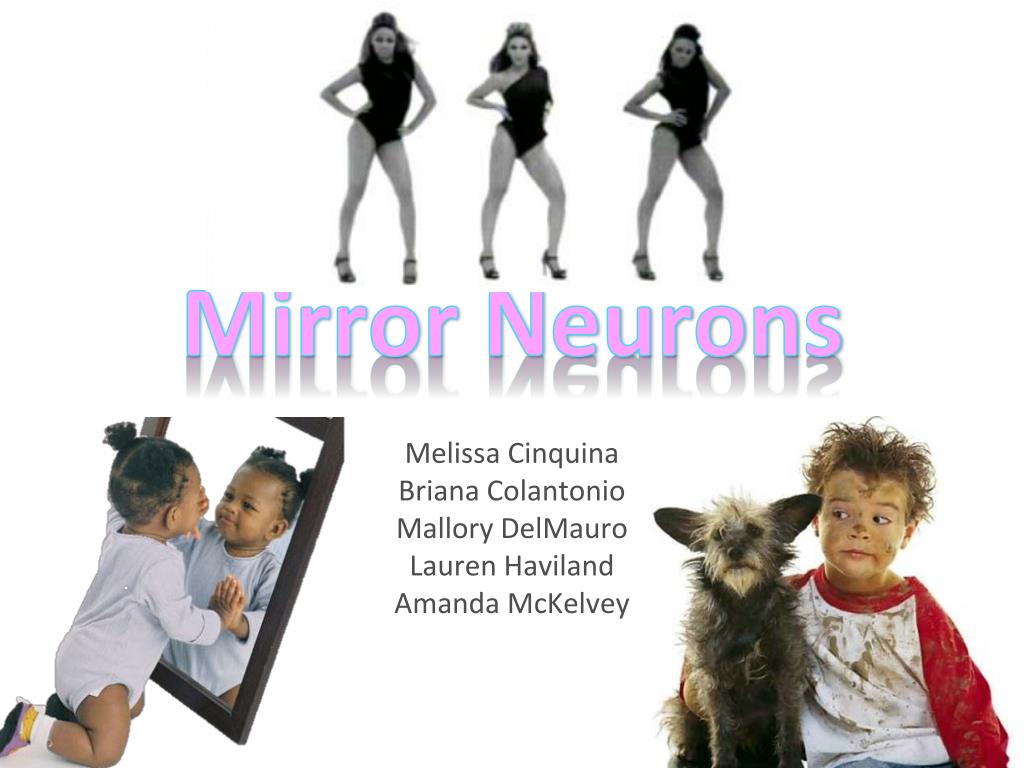 PPT - Mirror Neurons PowerPoint Presentation, free download - ID:2315230