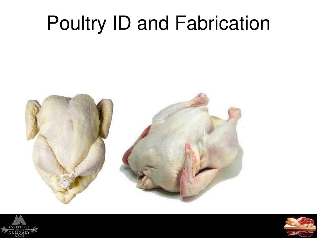 PPT - Poultry ID and Fabrication PowerPoint Presentation, free download ...